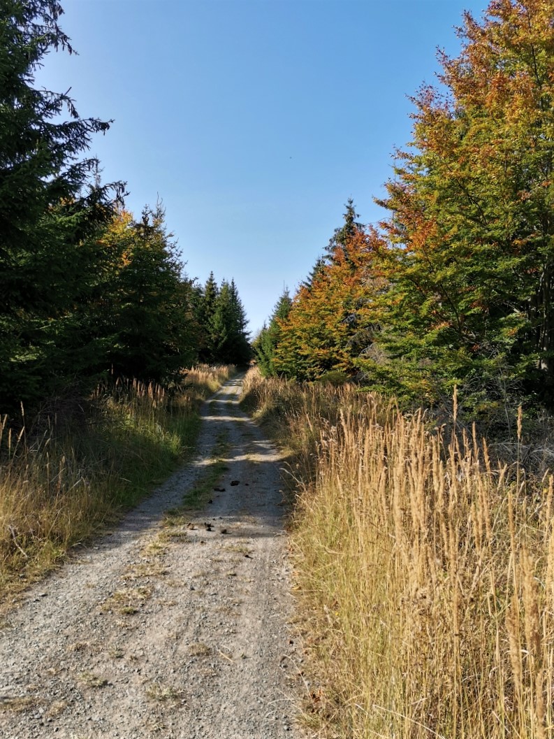 Frankenau-das Tor zum Nationalpark Kellerwald-Reiseblog