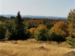 Frankenau-das Tor zum Nationalpark Kellerwald - Bis zum Horizont