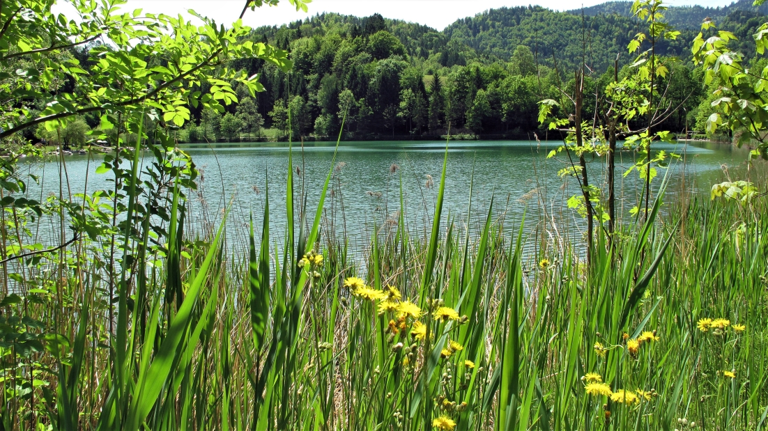 Wanderung zum Wössner See im schönen Chiemgau