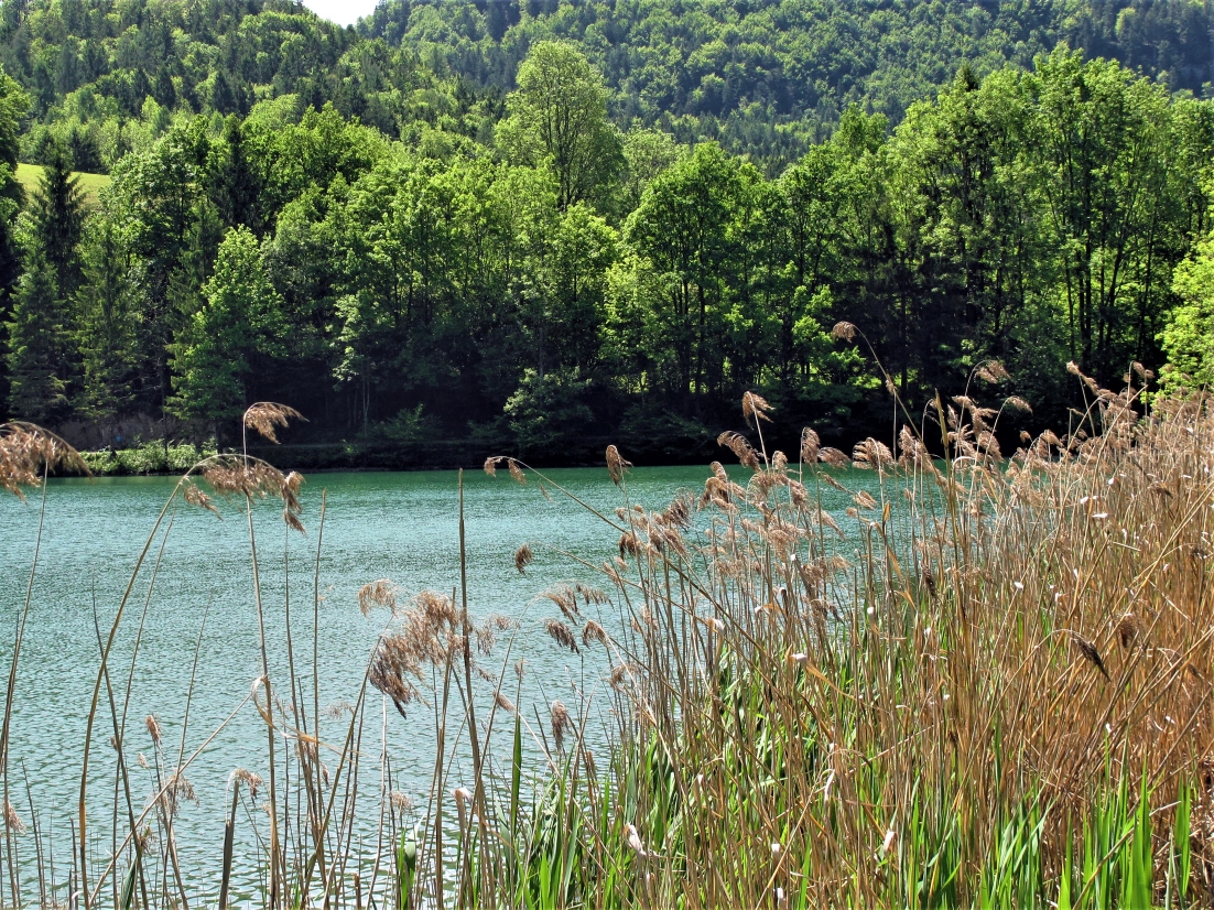 Wanderung zum Wössner See im schönen Chiemgau