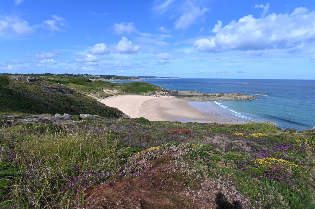Cap Fréhel-Wanderung auf dem Zöllnerpfad GR34