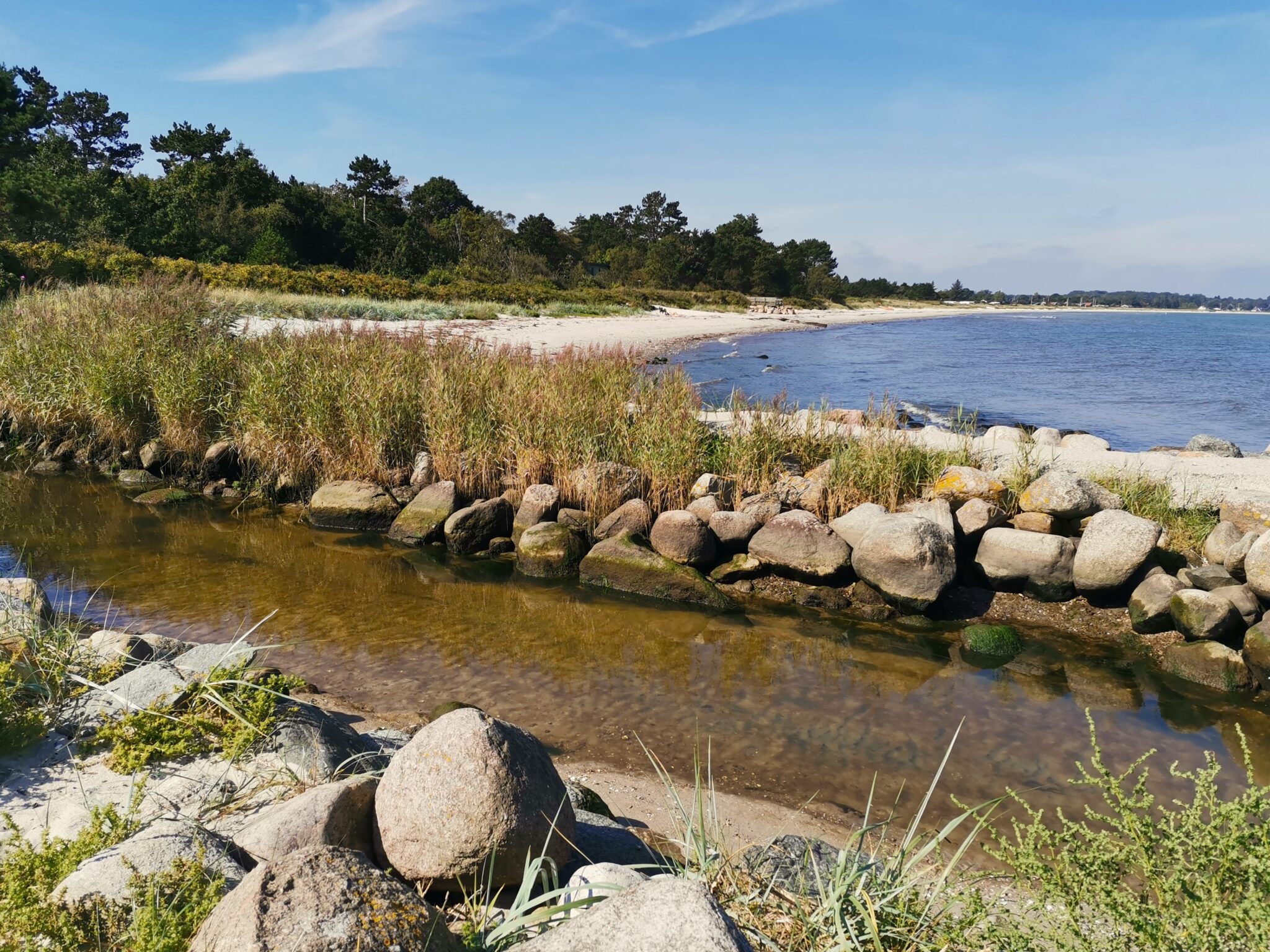 Saksild Strand - Schönster Strand in Ostjütland?