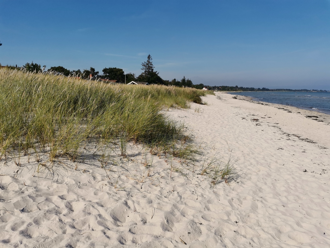 Saksild Strand - Schönster Strand in Ostjütland?