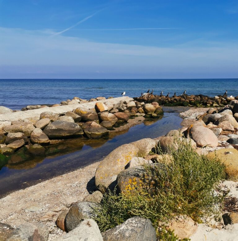 Saksild Strand - Schönster Strand in Ostjütland?