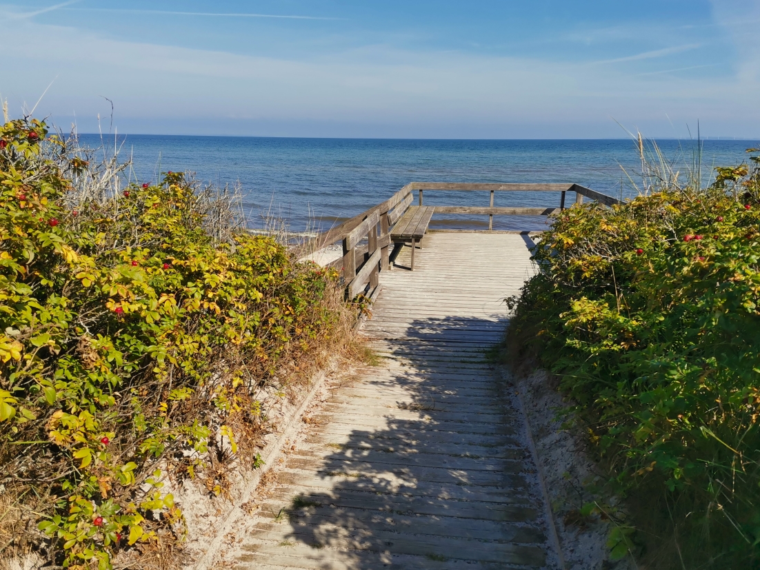 Saksild Strand - Schönster Strand in Ostjütland?