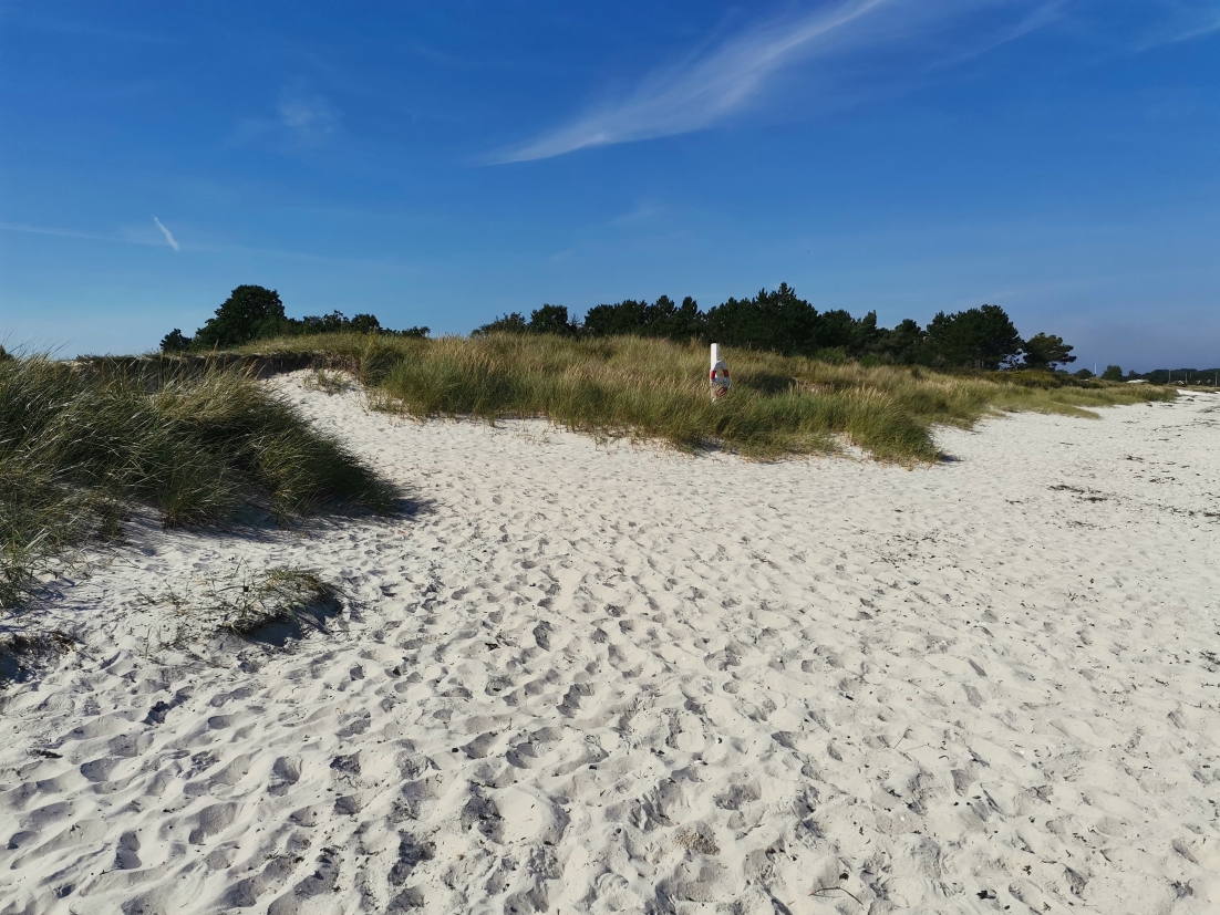 Saksild Strand - Schönster Strand in Ostjütland?