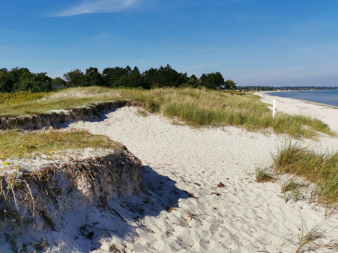 Saksild Strand - Schönster Strand in Ostjütland?