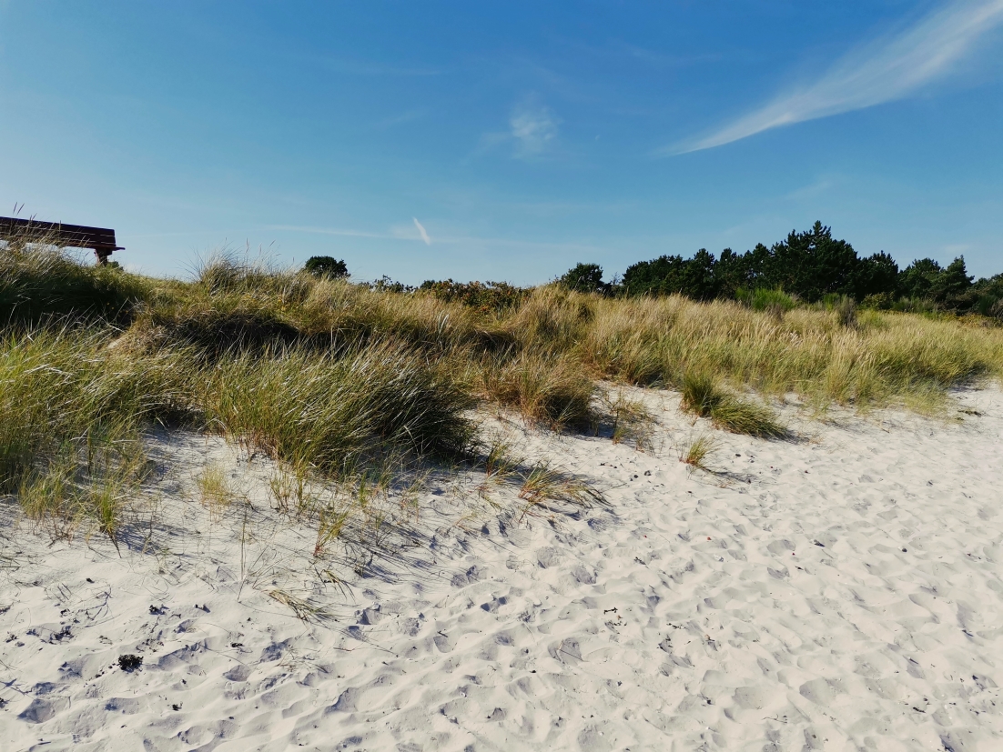 Saksild Strand - Schönster Strand in Ostjütland?