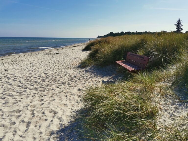 Saksild Strand - Schönster Strand in Ostjütland?