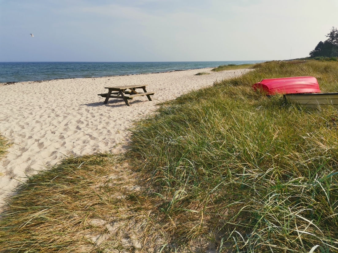 Saksild Strand - Schönster Strand in Ostjütland?